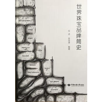 世界品牌简史 任进 巫金津 中国地质社