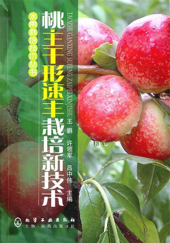 水果栽培技术丛书--桃主干形速丰栽培新技术