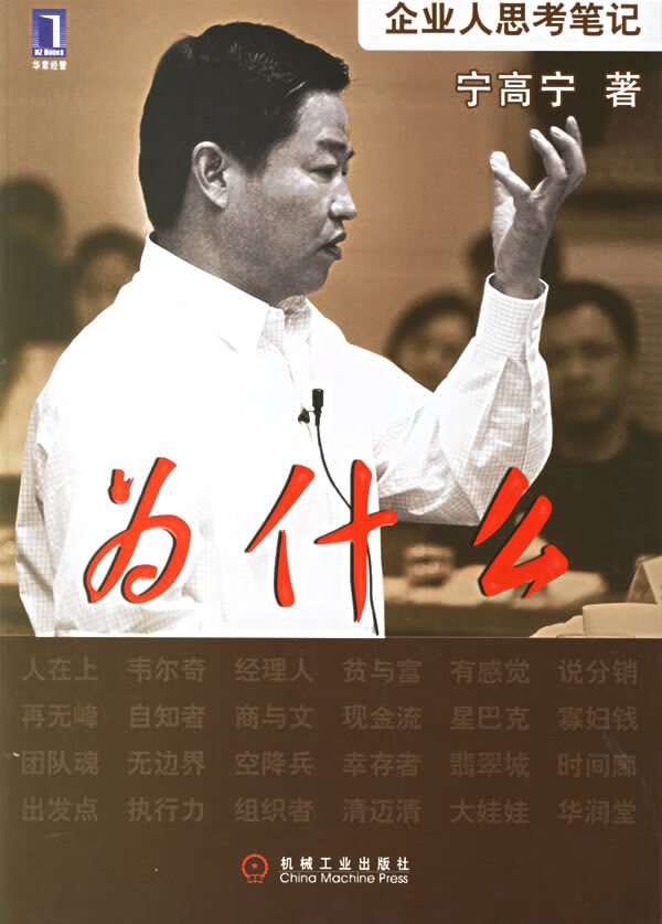 为什么:企业人思考笔记 宁高宁 著【书】