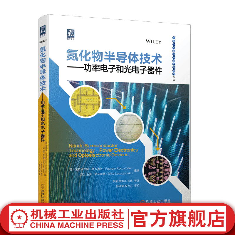 官网现货 氮化物半导体技术 功率电子和光电子器件 法布里齐奥 罗卡福特 半导体与集成电路关键技术丛书 氮化物半导体应用技术书籍
