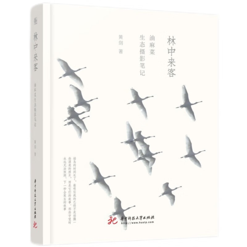 林中来客(油麻菜鸟类观察手记)(精)