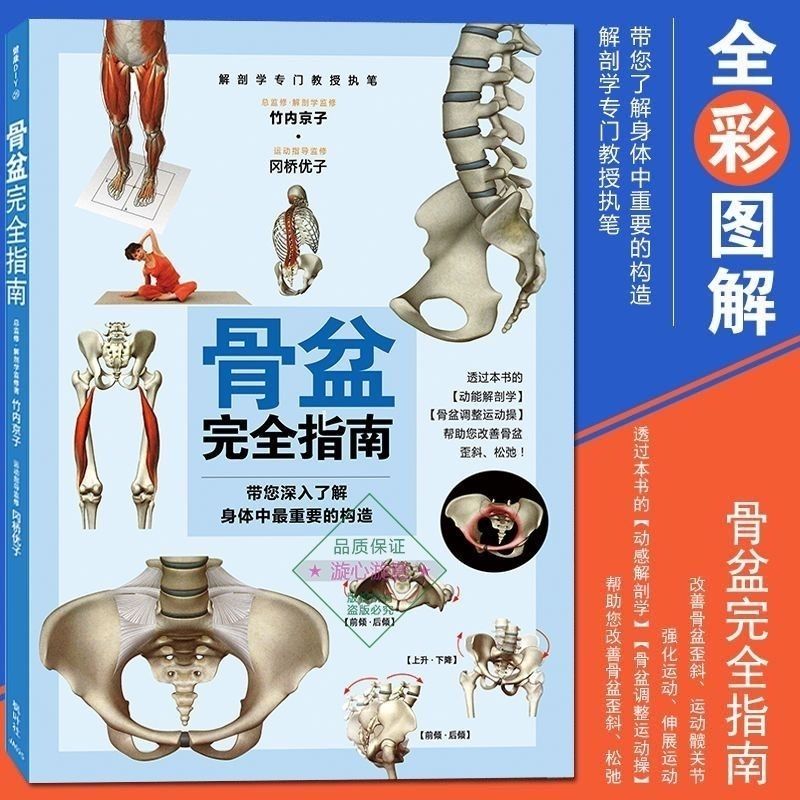 骨盆完全指南竹內京子理疗关节功能训练图解解剖学(彩色
