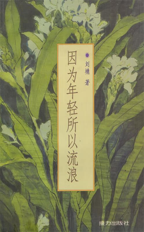 因为年轻所以流浪 (美)刘墉 著 接力出版社