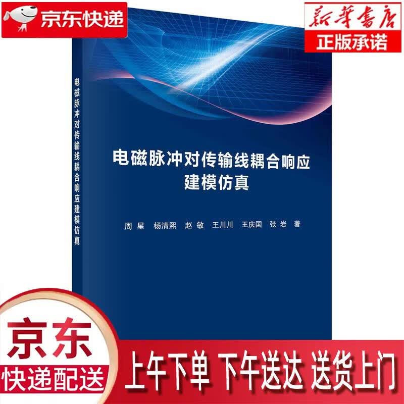 【新华畅销图书】电磁脉冲对传输线耦合响应建模仿真