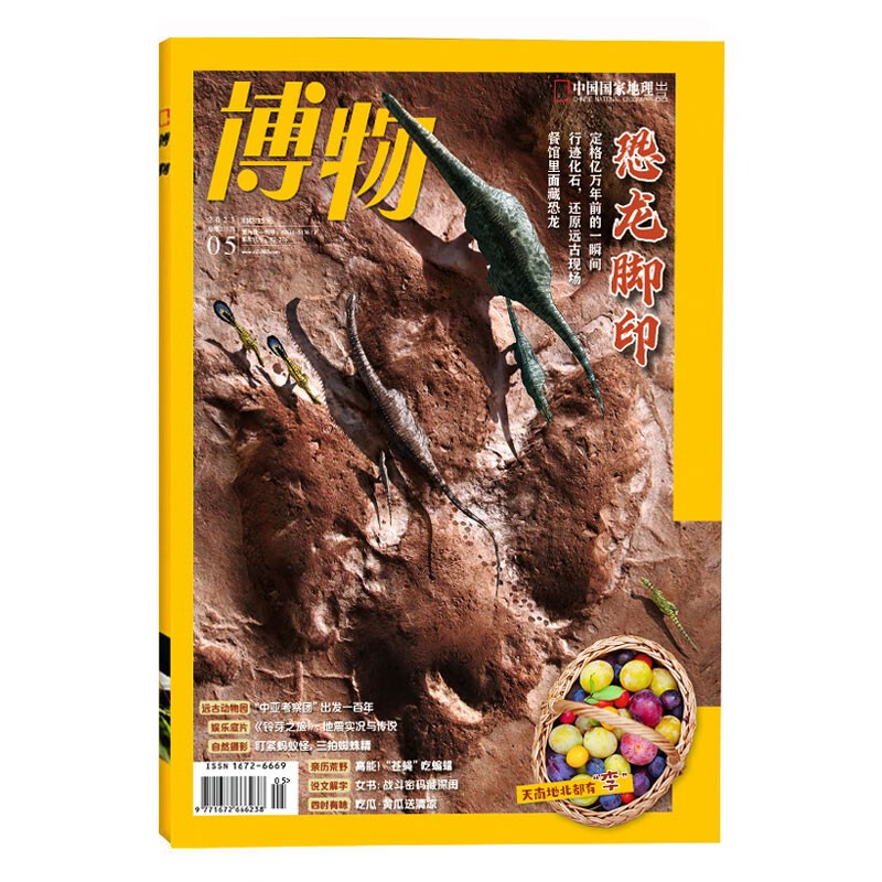 【2023年1-8月现货】博物 杂志2023年1/2/3/4/5/6/7/8期打包 中国国家地理青少年版 中小学生课外阅读科普百科全书期刊 适合6-12岁 2023年5月【恐龙脚印】