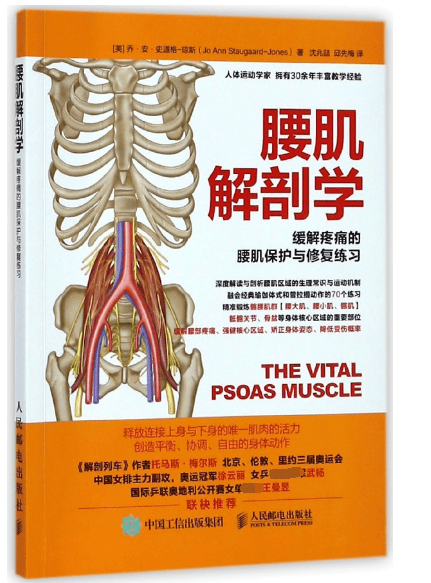 腰肌解剖学(缓解疼痛的腰肌保护与修复练习)