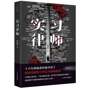 实习律师 田建宏 辽宁人民出版社 9787205105488