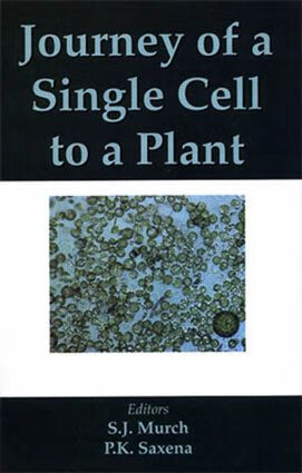 Journey of a Single Cell to a Plant