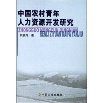 中国农村青年人力资源开发研究