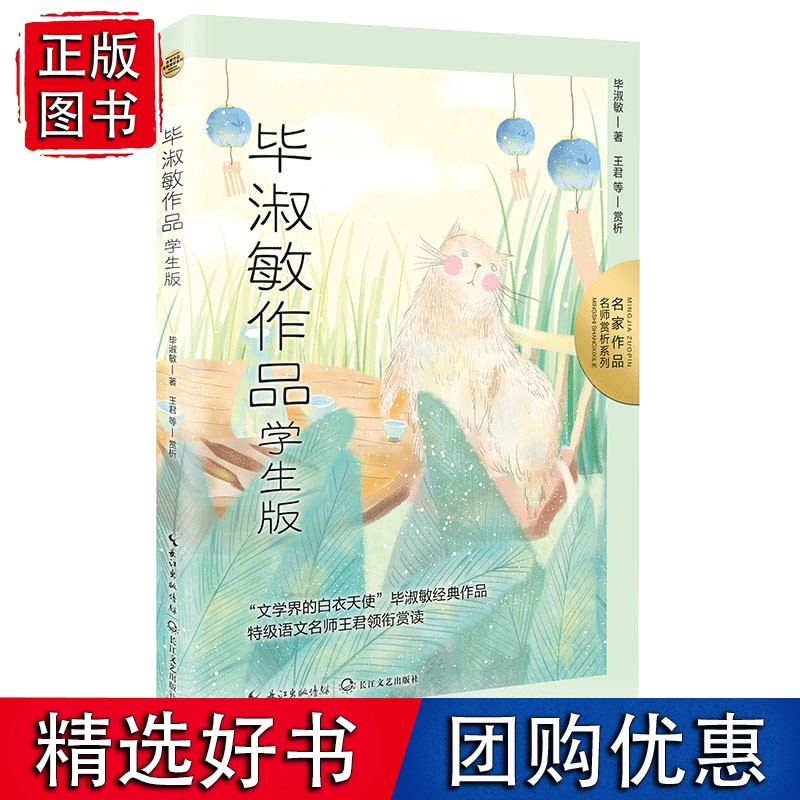 网店 毕淑敏作品 学生版 名师赏析系列 长江文艺出版社