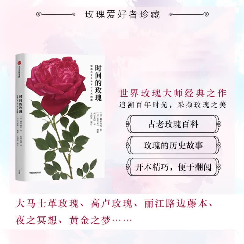 时间的玫瑰