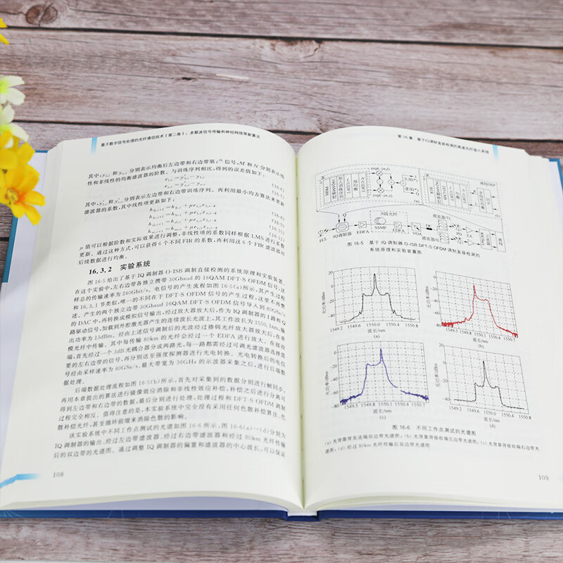 基于数字信号处理的光纤通信技术(第2卷) 多载波信号传输和神经网络等新算法 余建军,迟楠 书籍