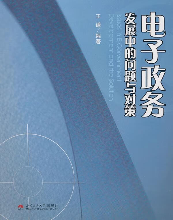 电子政务发展中的问题与预测 王谦编著