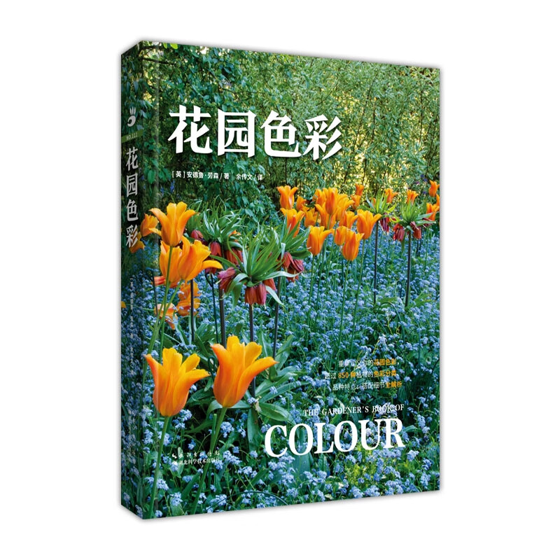 花园色彩