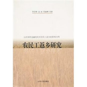 农民工返乡研究 贺雪峰等 著