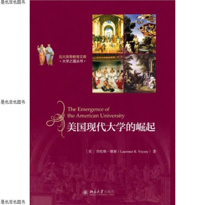 美国现代大学的崛起