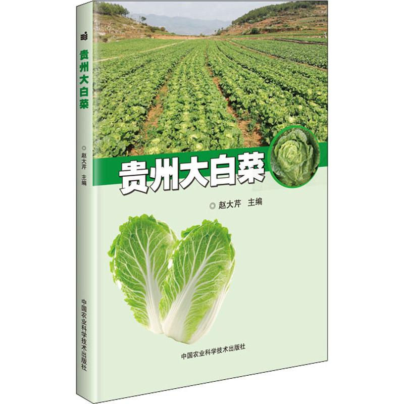 贵州大白菜