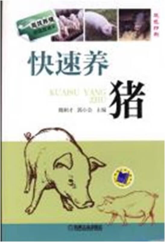 高效养殖致富直通车 快速养猪【精选】