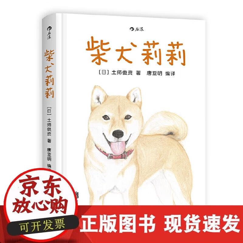 【现货】柴犬莉莉
