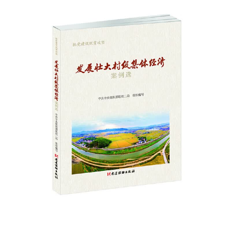 发展壮大村级集体经济案例选