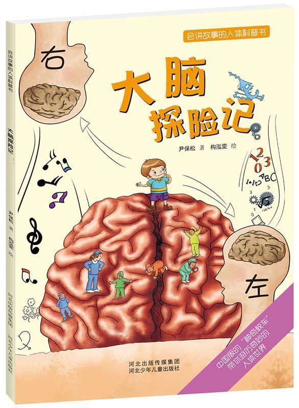大脑探险记 尹保松