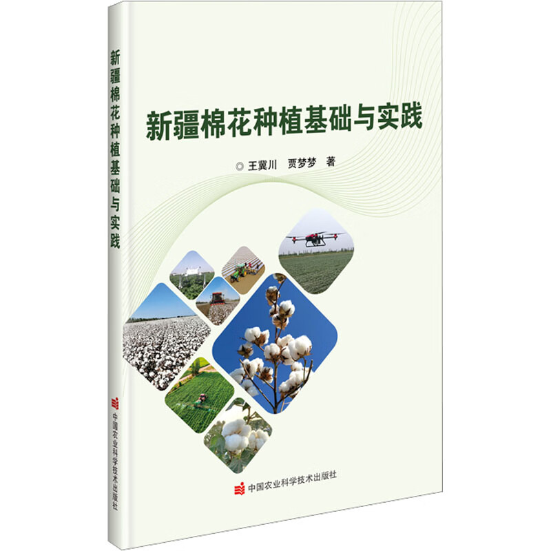 新疆棉花种植基础与实践 图书
