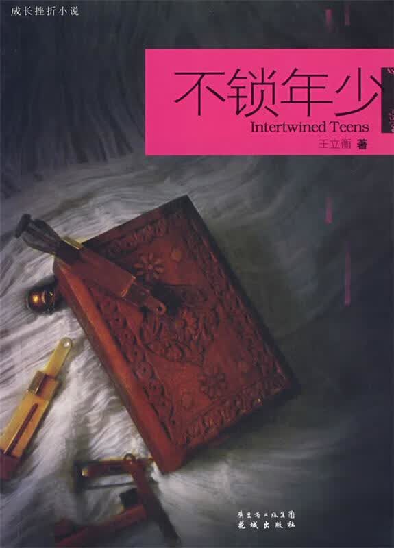 不锁年少 王立衡著