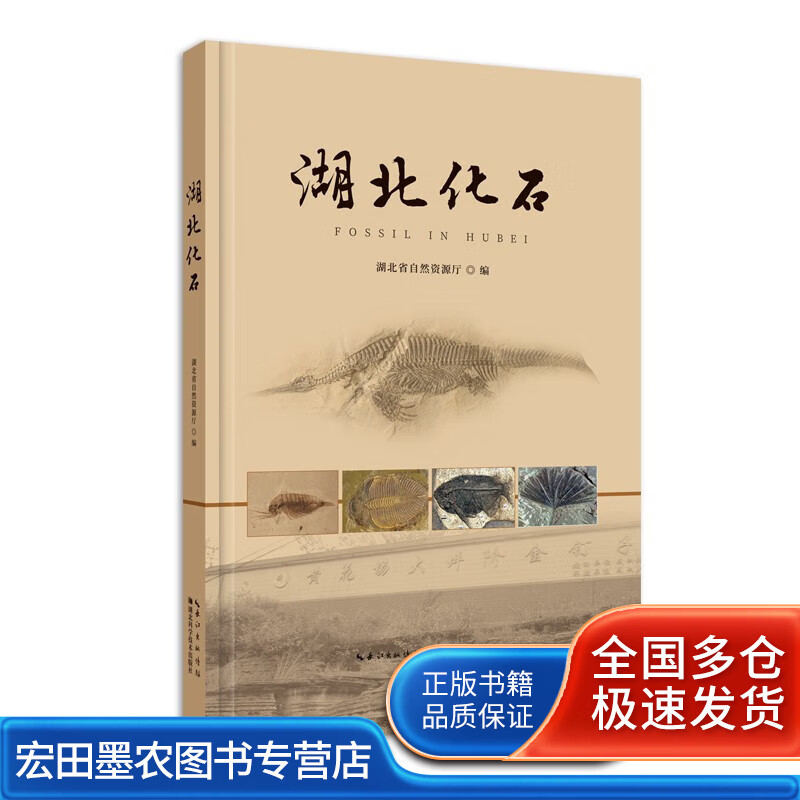 湖北化石【好书】