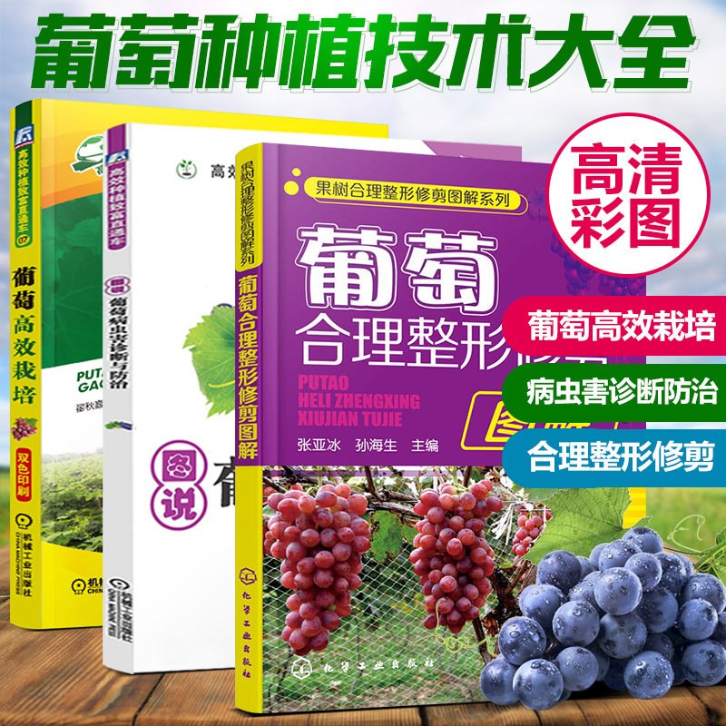 葡萄栽培+病虫害诊断与防治+葡萄合理整修修剪图解 葡萄种植技术书籍 植技术书籍