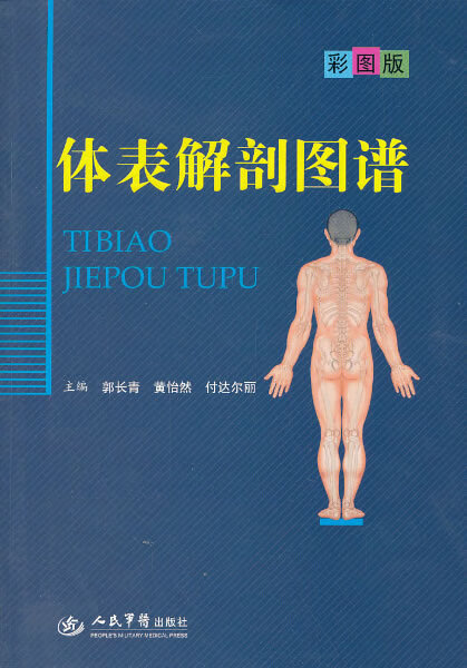体表解剖图谱