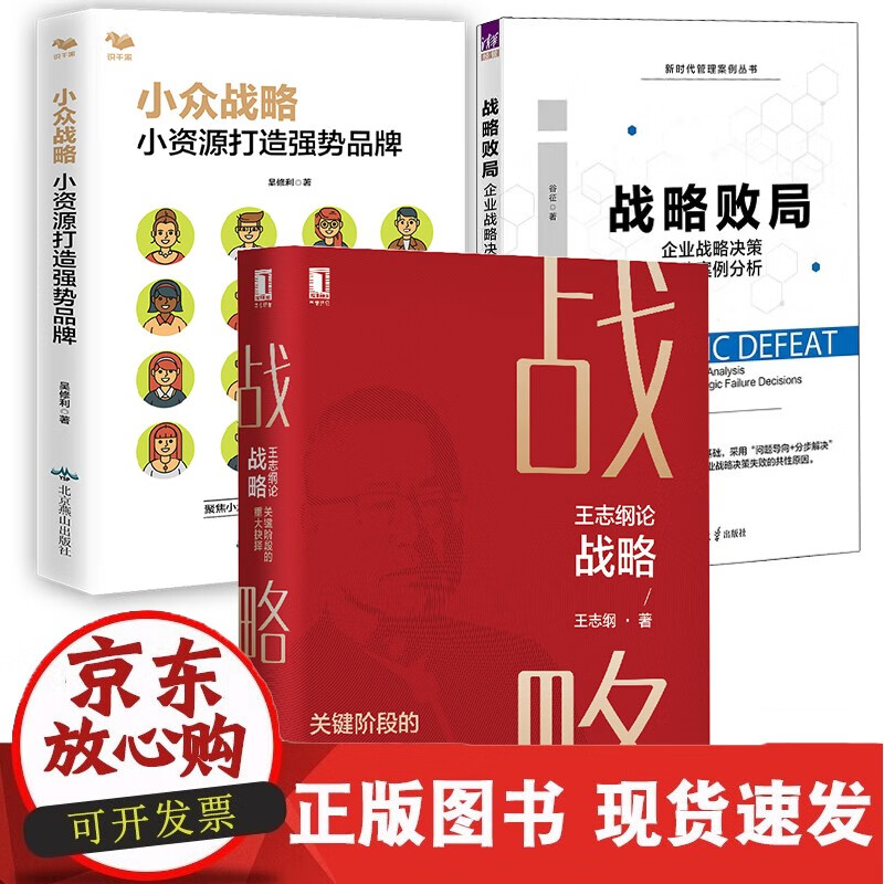 C 【全3册】战略败局企业战略决策失败案例分析新时代管理案例丛书+王志纲论战略关键阶段的重大抉择+小众战