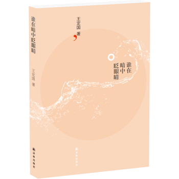 谁在暗中眨眼睛 王定国 著 9787544756488