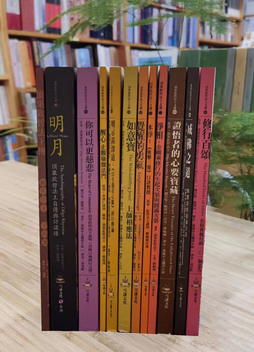 顶果钦哲法王传+明月+你可以更慈悲+醒心+明示甚深道+如意宝+觉醒的勇气+本净+净相+证者