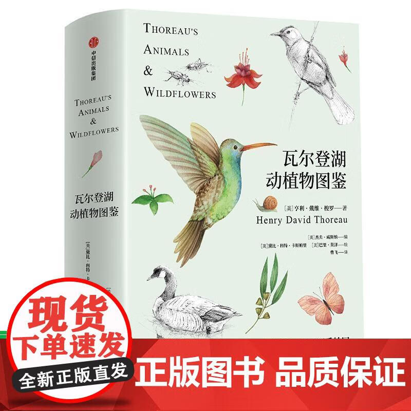 瓦尔登湖动植物图鉴（全2册）梭罗 文学 梭罗 9787521703269 中信出版社