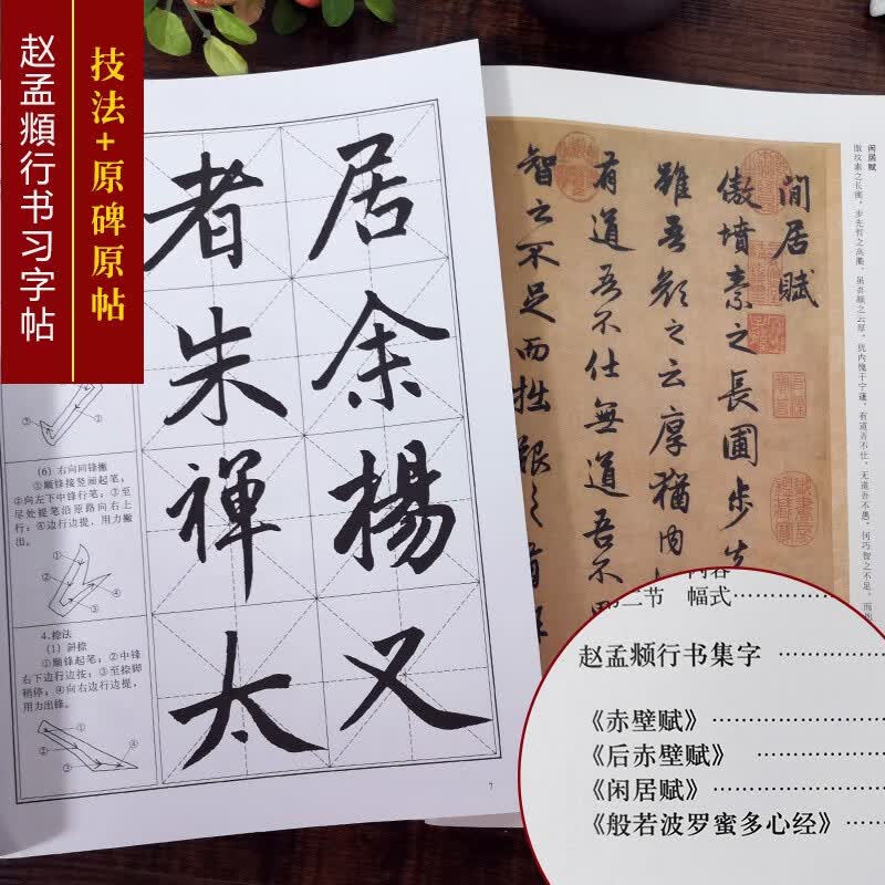 赵孟頫行书习字帖(前后赤壁赋+闲居赋+赵孟頫书心经) 笔画部首章法创作集字作品毛笔书法碑帖技法教程书浙江人民美术出版社图书籍