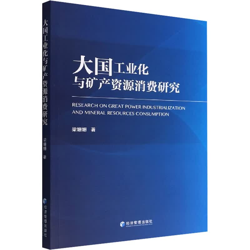 大国工业化与矿产资源消费研究 图书