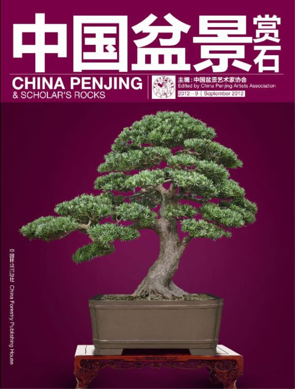 中国盆景赏石-2012-9/家居 / 家庭园艺/书籍