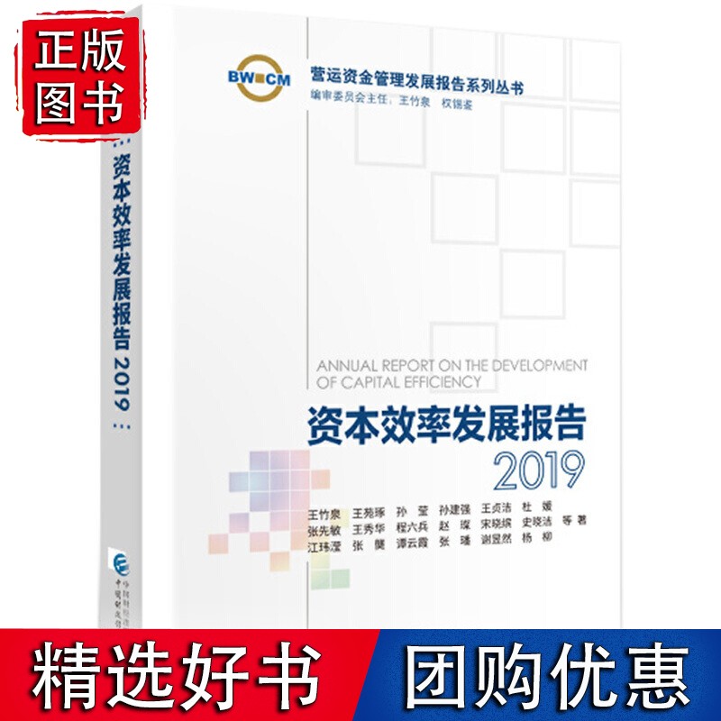 资本效率发展报告2019