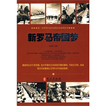 新罗马帝国梦 王志强主编【书】