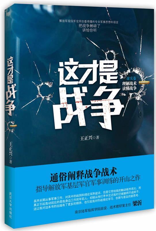 这才是战争 王正兴 著