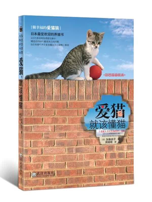爱猫，就该懂猫