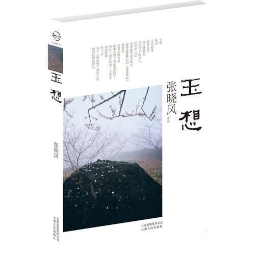 玉想