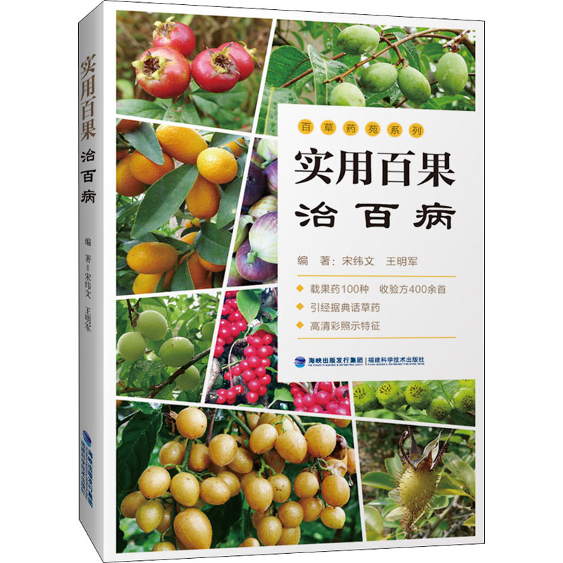 实用百果治百病 图书
