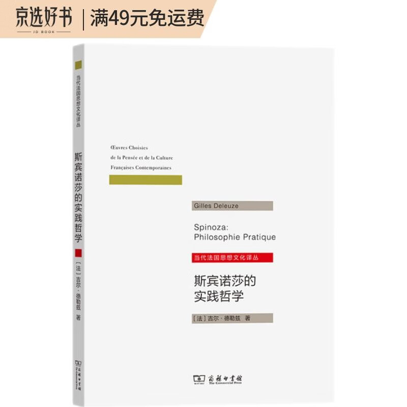 斯宾诺莎的实践哲学（当代法国思想文化译丛）