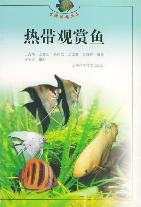 热带观赏鱼