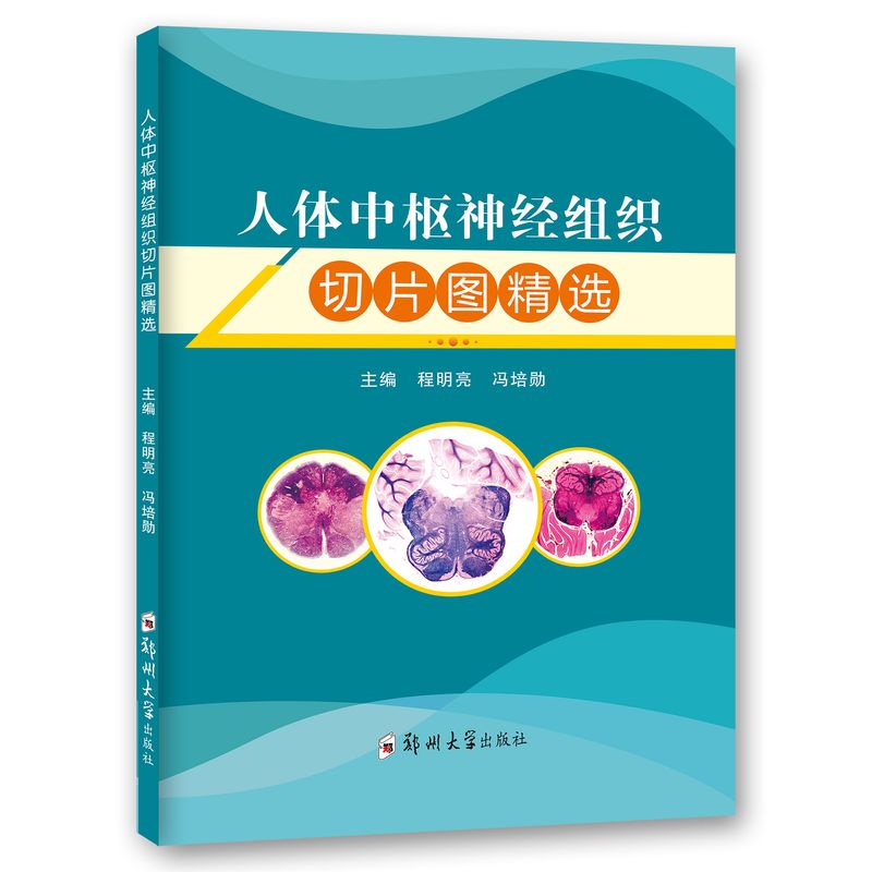 人体中枢神经组织切片图精选