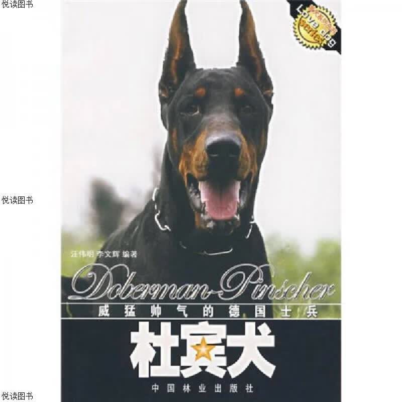 杜宾犬