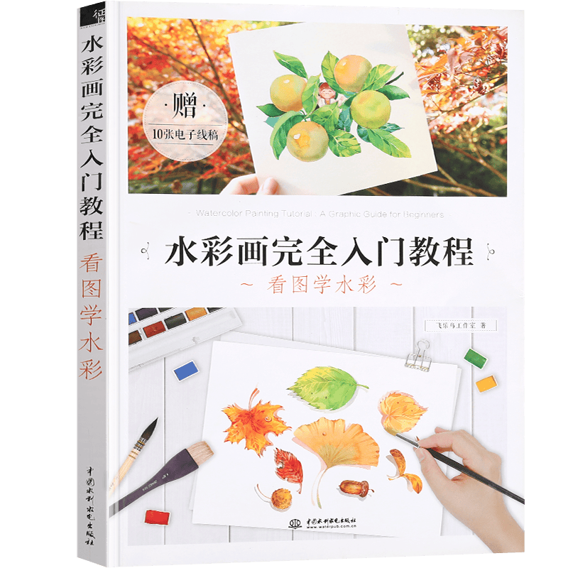水彩画完全入门教程：看图学水彩 飞乐鸟 水彩画教程书 水彩技法基础入门教材书籍