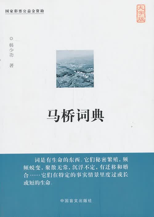 马桥词典-大字版 韩少功著