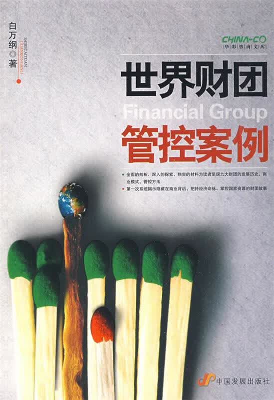 世界财团管控案例